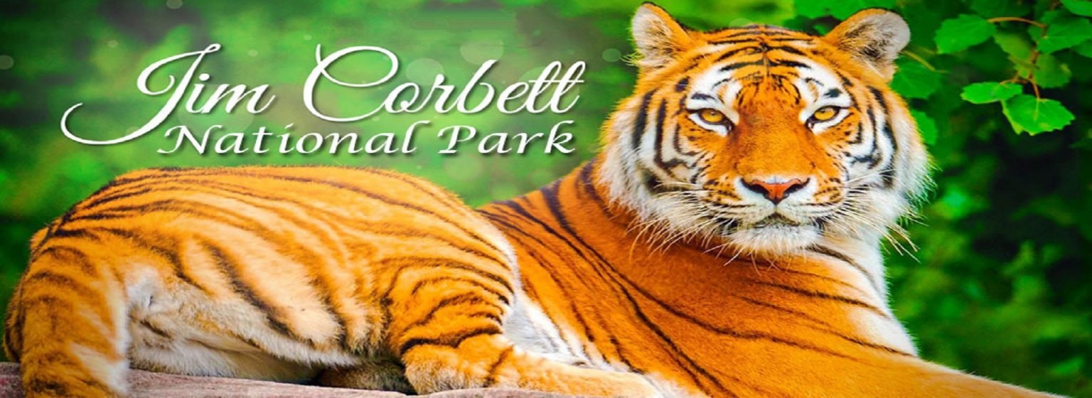 Jim Corbett National Park- Complete Travel Tips - Same Day Tour Blog